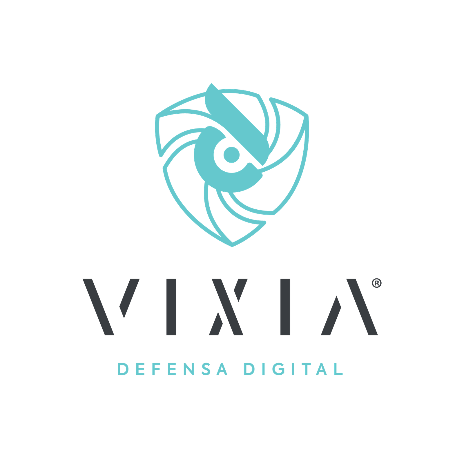 Soluciones – Vixia